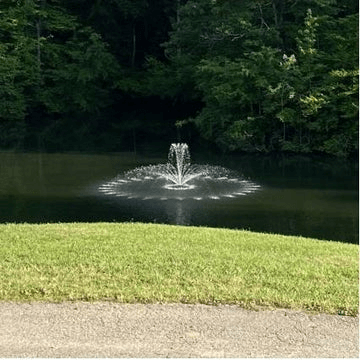 The Ultimate Guide to Buying the Perfect Fountain for Your Pond ...